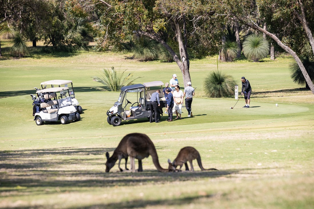 Hart & Co Golf Day Hart & Co Golf Day